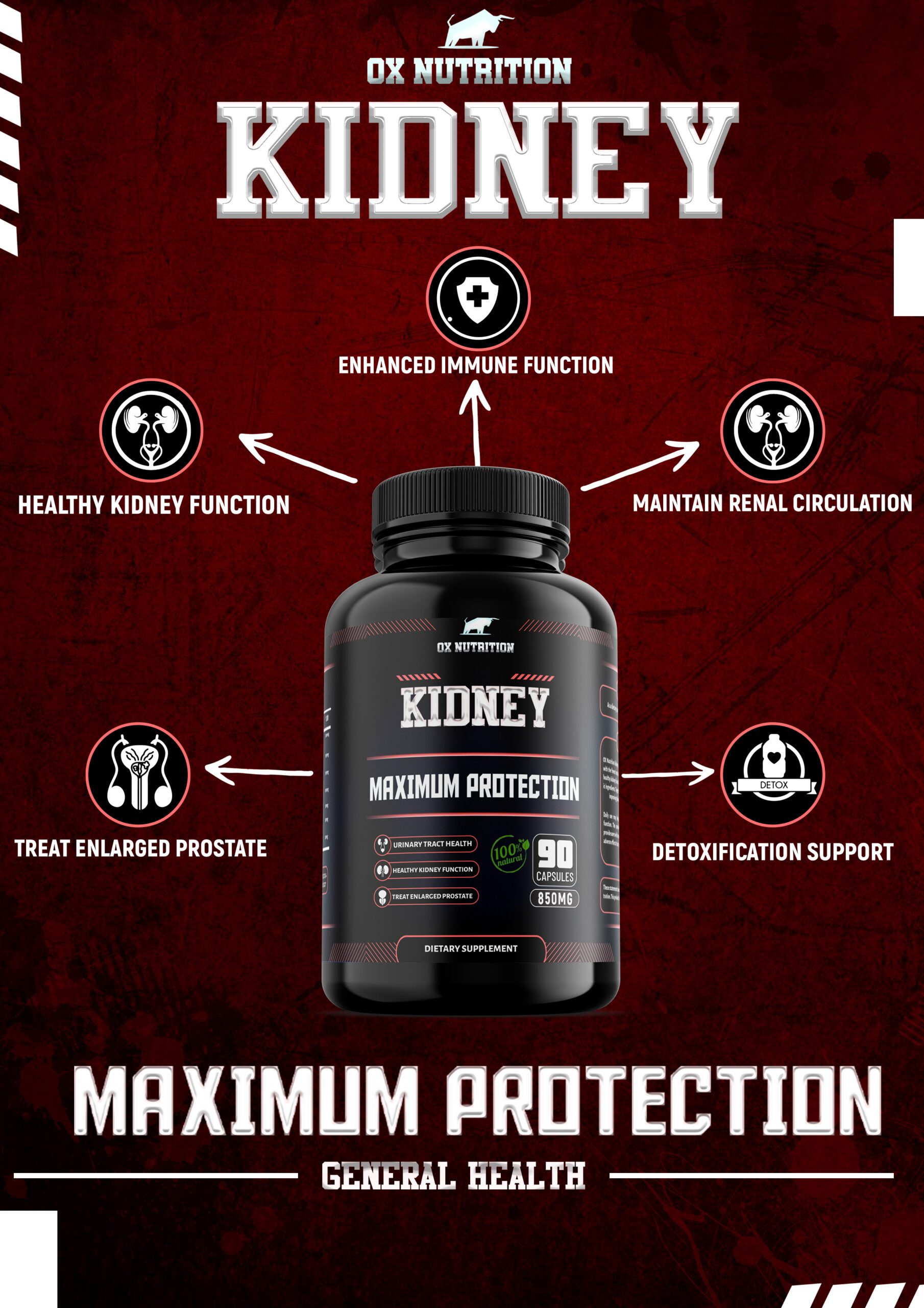Welcome To OX NUTRITION | OX NUTRITION